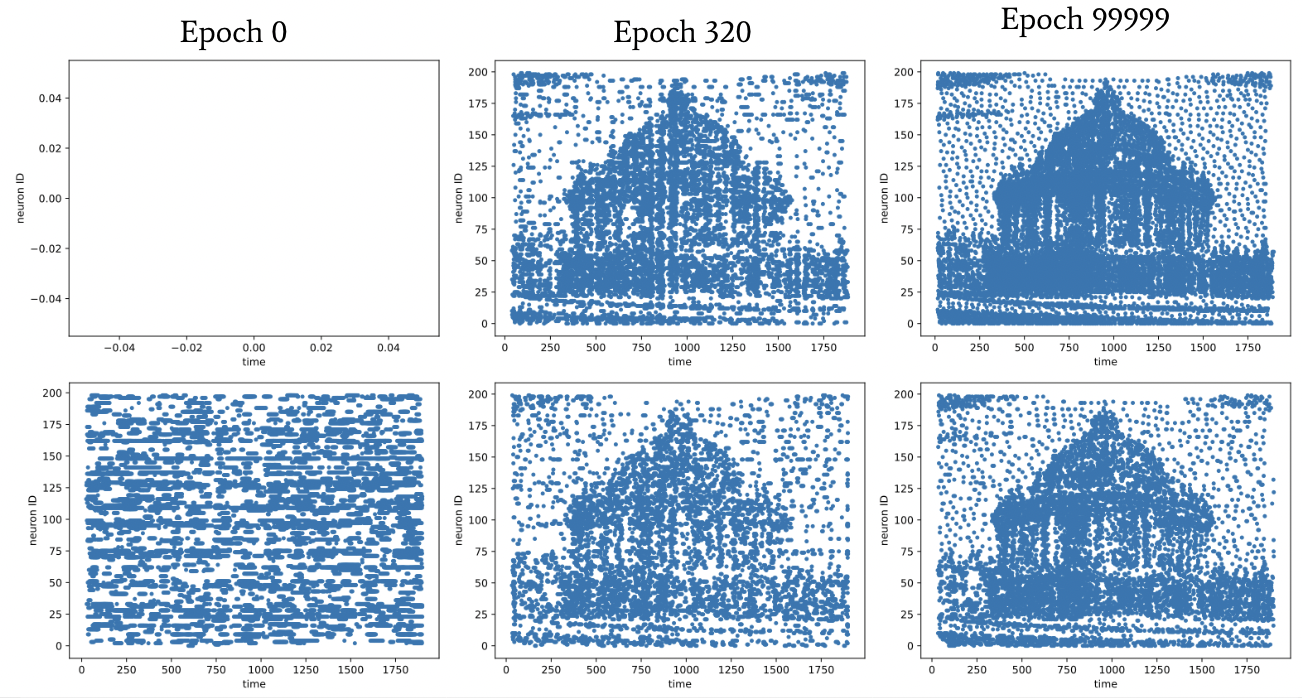 Edoardo Wijaya Grappolini